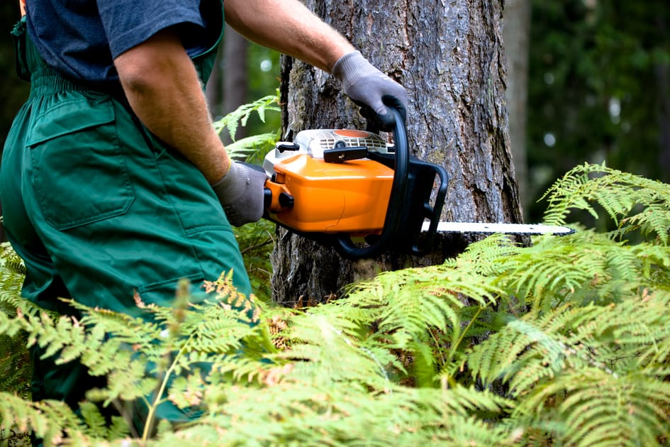 The World's Most Dangerous Jobs | Engoo Daily News