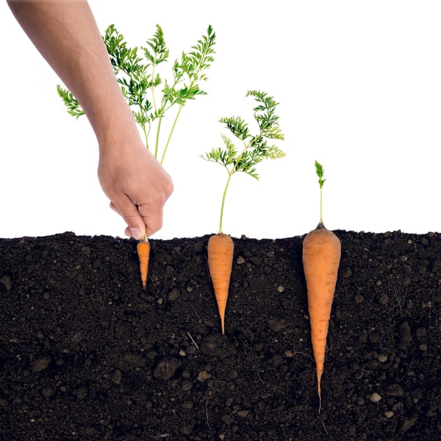 Judging a Book by Its Cover | Engoo