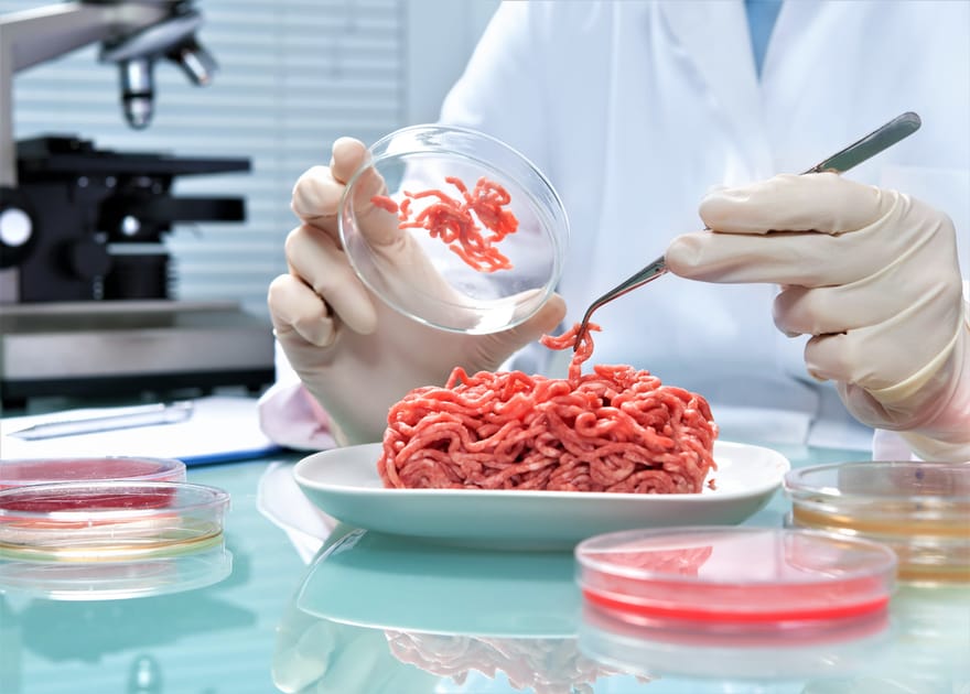 Lab-Grown Meat Moves Closer to US Stores | Engoo Daily News