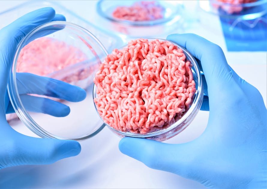 Meat Grown in Space For First Time | Engoo Daily News