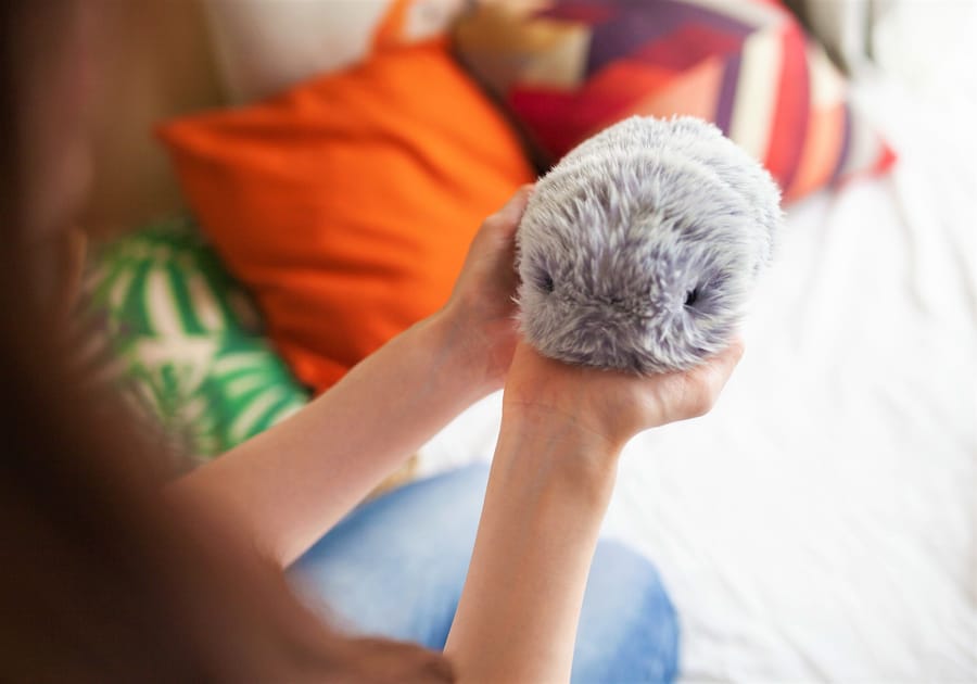 New Pet Robot Can Develop 'Emotions' | Engoo 每日新聞