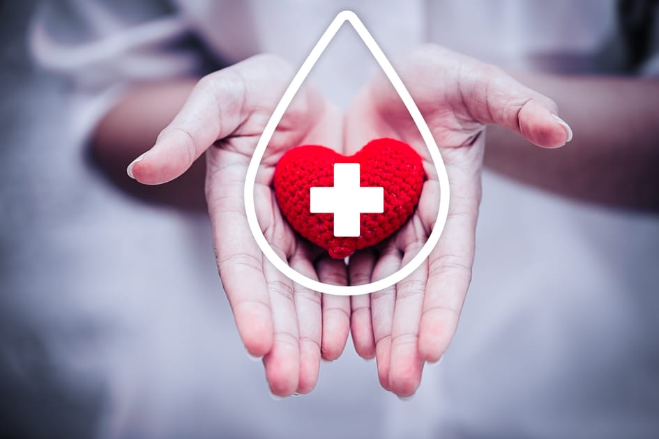 Thinking of Donating Blood? Here's How It Works | Engoo Daily News
