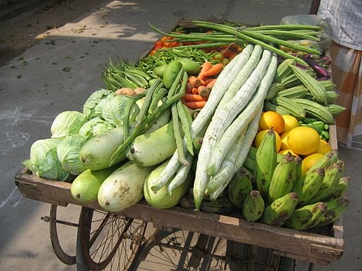 Growing Vegetables Without Soil Inside the Home | Engoo 每日新聞