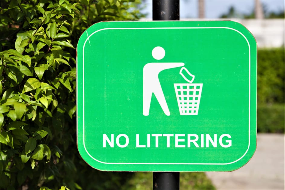 British Woman Pays for Litter 11 Years Later | Engoo 每日新闻