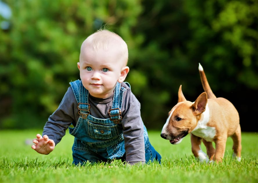 Infants with Pets May Get Fewer Food Allergies | Engoo Daily News