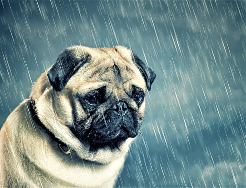 Vocabulary for a Lousy, Rotten Day | Engoo 每日新聞