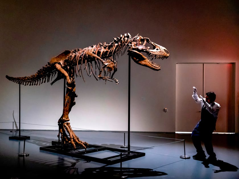 Sotheby's Announces Dinosaur Skeleton Auction | Engoo 每日新聞