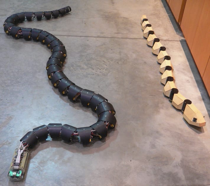 Snake Robot Acts Like Real Snake | Engoo Daily News