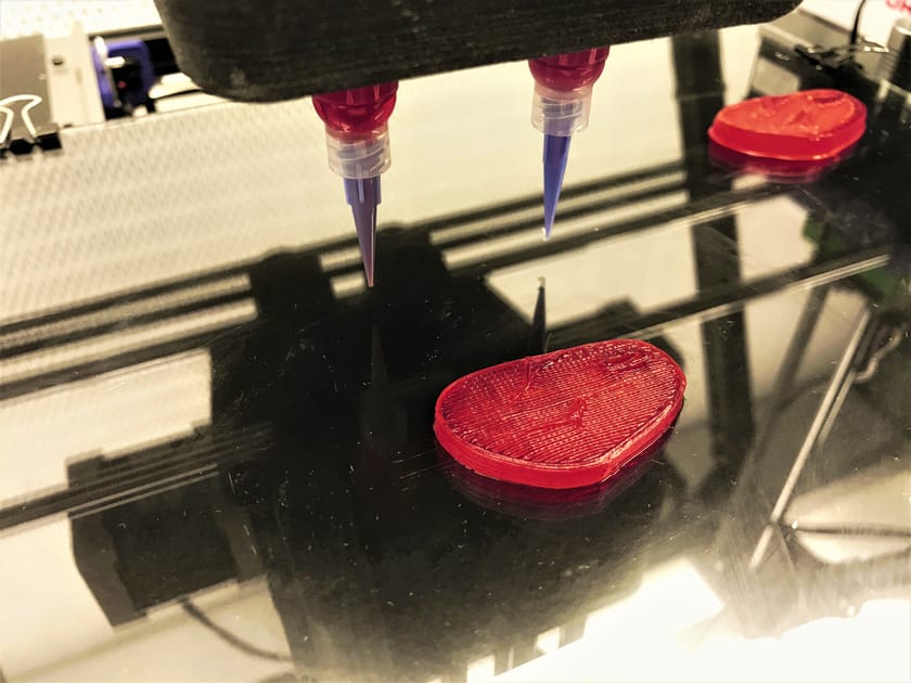 Spanish Company Reveals 3D Printed Vegan Steak | Engoo Daily News