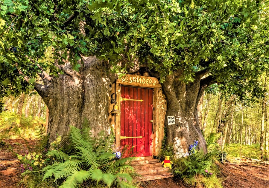 Airbnb Is Renting a Winnie-the-Pooh House | Engoo 每日新闻