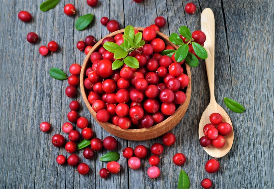 A Cup of Cranberries a Day Could Improve Memory | Engoo 每日新闻