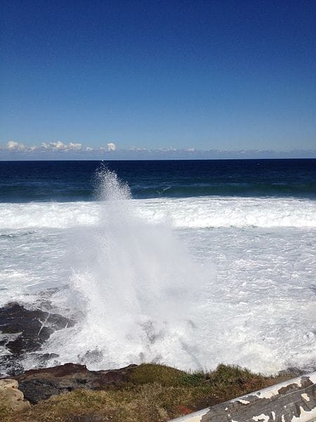 Obama Announces Initiative to Protect Pacific Ocean | Engoo Daily News