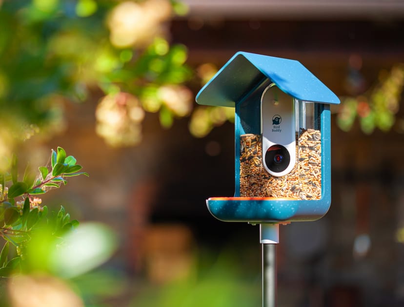 This Bird Feeder Takes Photos of Birds for You | Engoo Daily News