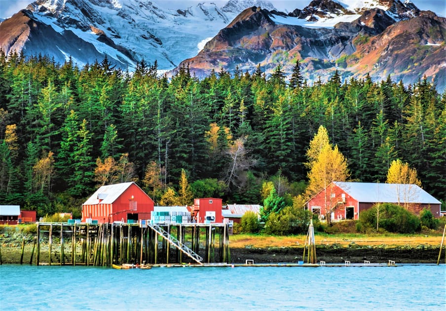 Three Alaskan Adventures to Get Close to Nature | DMM英会話 デイリーニュース