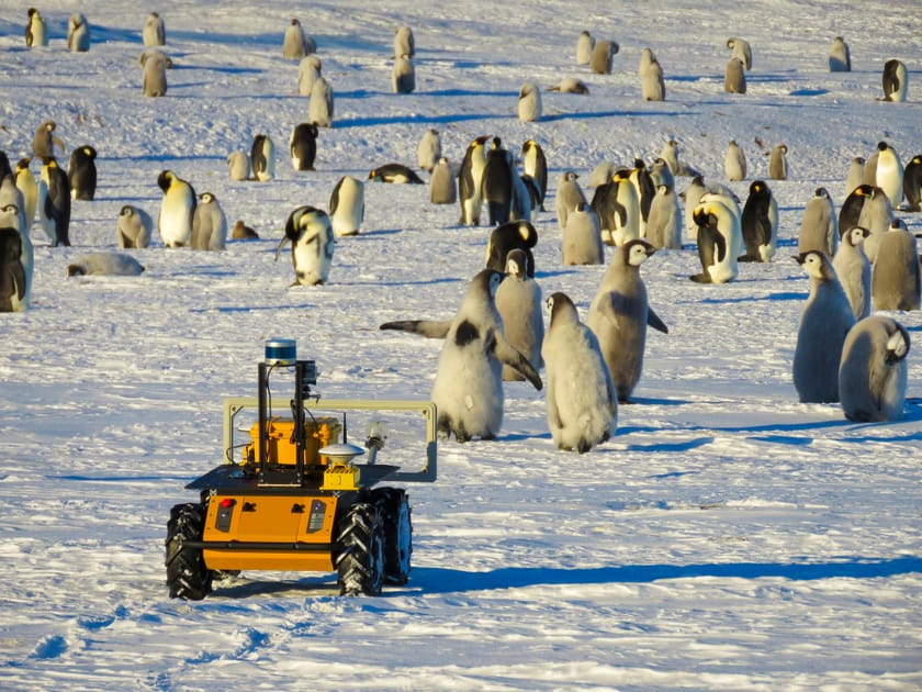 Meet the Robot Living with Antarctic Penguins | Engoo 每日新闻