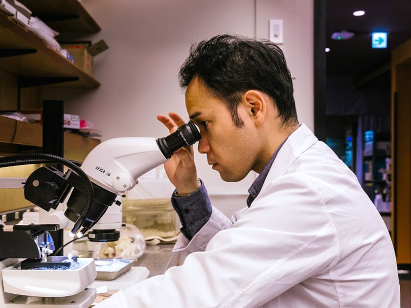 Japanese Research Quality Slipping, Says Report | Engoo 每日新聞