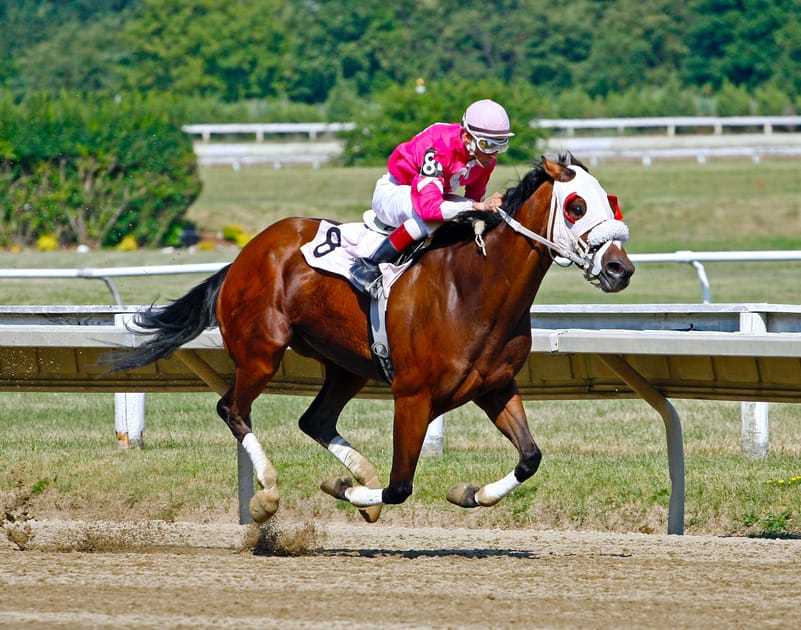 You'll Win 'Hands Down' with These Racing Expressions | Engoo 每日新闻