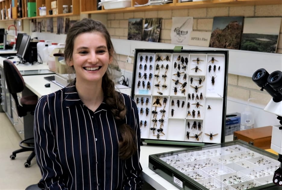 Australian Fly Species Named After Marvel Heroes | DMM英会話 デイリーニュース