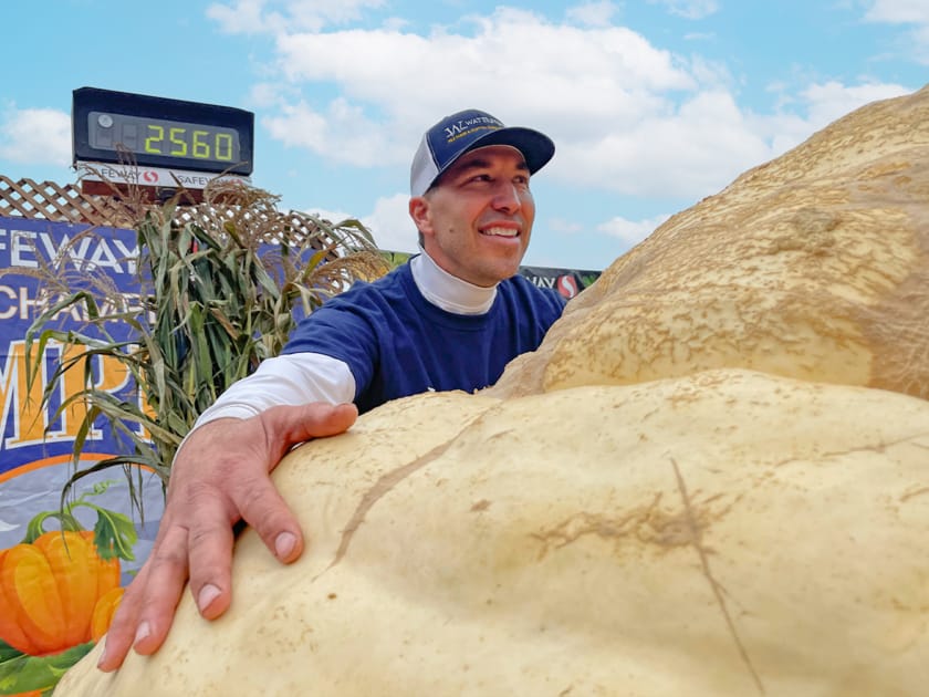 Huge Pumpkin Breaks Record for Heaviest in US | Engoo Tin tức hàng ngày