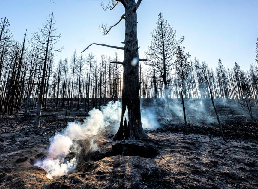 Couple Charged After Gender Reveal Starts Wildfire | Engoo Daily News