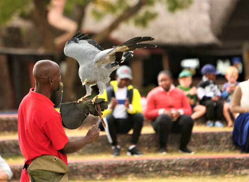 Bird Sanctuary Has 400 Species But Not Enough Tourists | Engoo Daily News