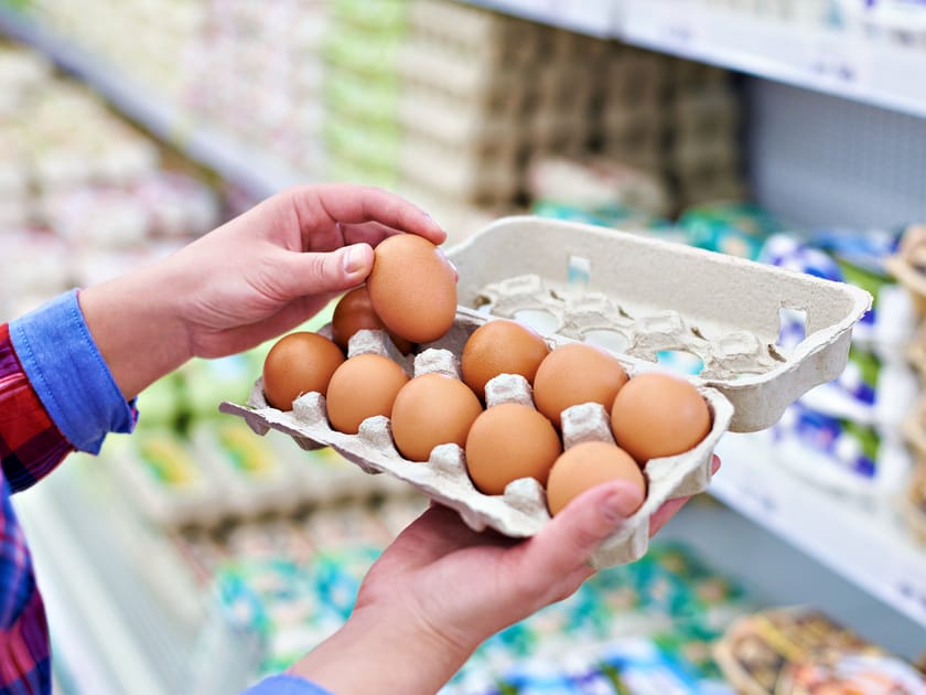 Bird Flu Causes 'Egg Shock' in Japan | Engoo Daily News