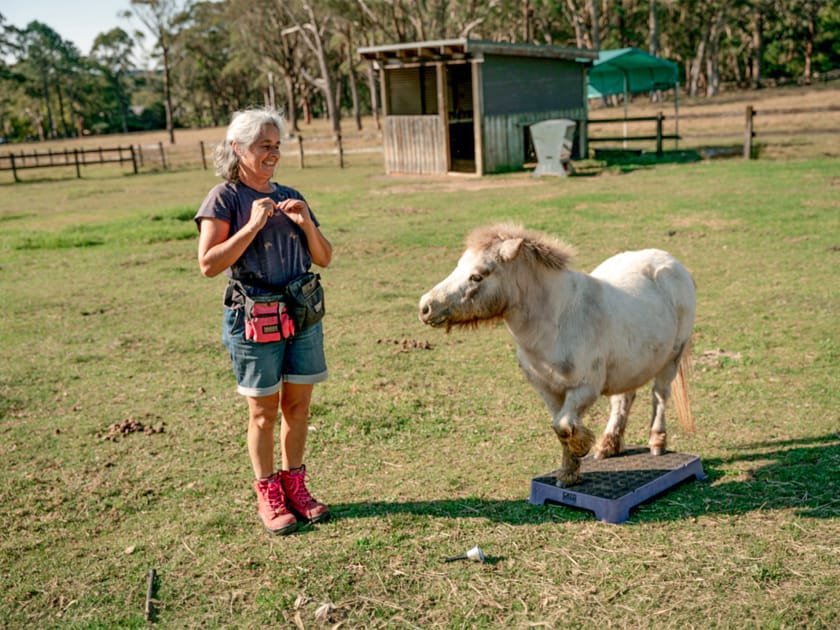Australian Sets Records for Most Horse and Sheep Tricks | Engoo Daily News
