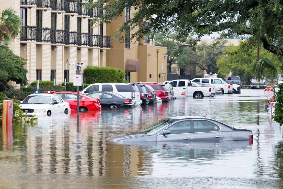 Urban Designers Look to Nature as Solution for Flood-Prone Cities ...