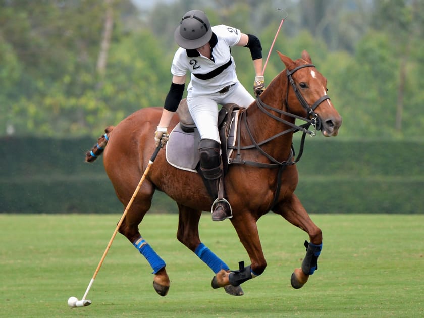 Women Play First Polo World Championship in Argentina | Engoo 每日新闻