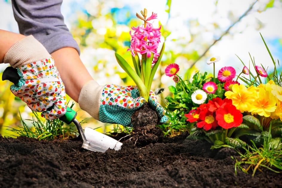 The Health Benefits of Gardening | Engoo Daily News