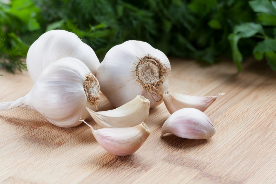 Garlic: The Key to a Long Life? | Engoo
