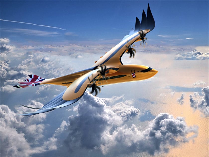 Airbus 'Bird of Prey' Plane Design Aims to Inspire | Engoo Daily News