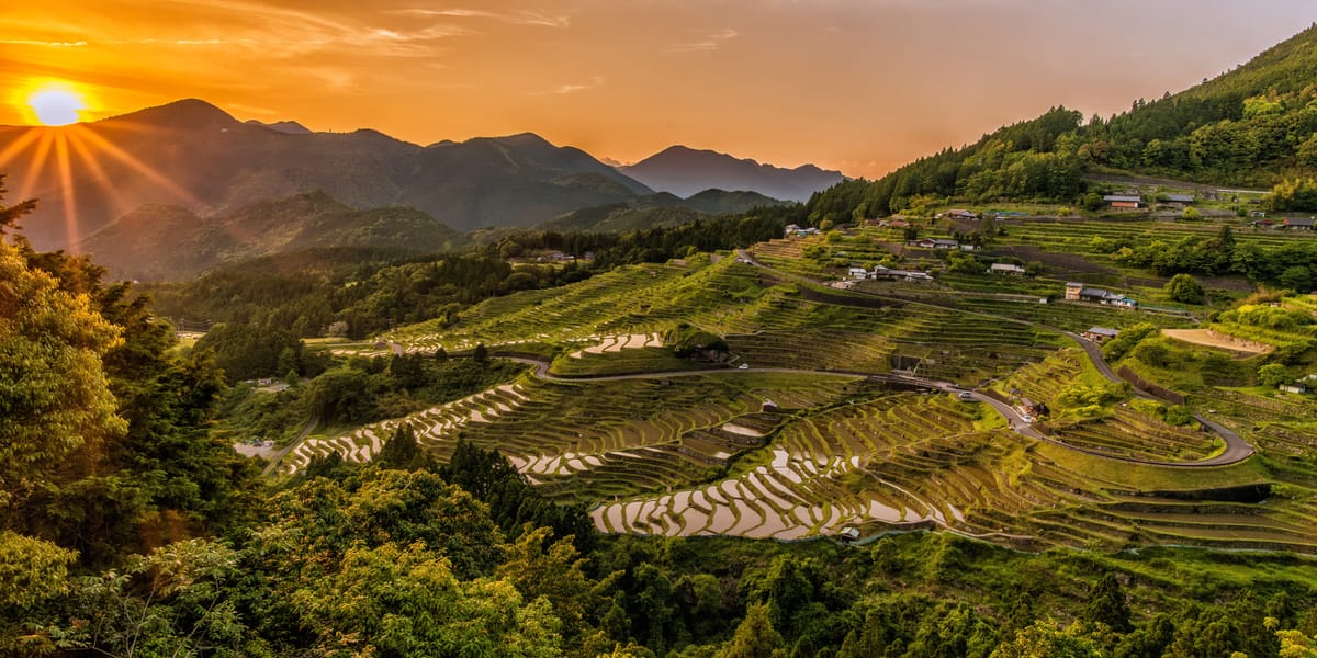 Farming Legacy a Factor in Modern Chinese Behavior | Engoo Daily News