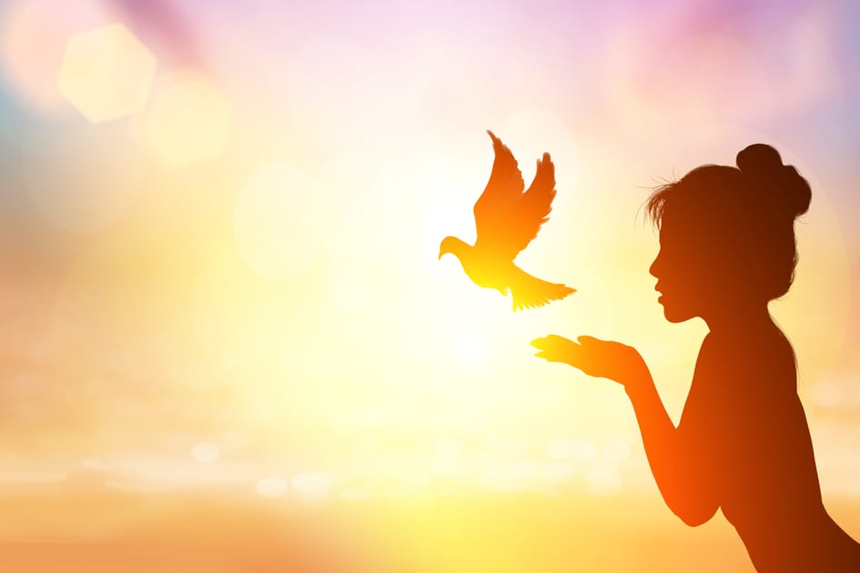 Free as a Bird | Early Bird | Bird's Eye View | For the Birds | Engoo 每日新聞