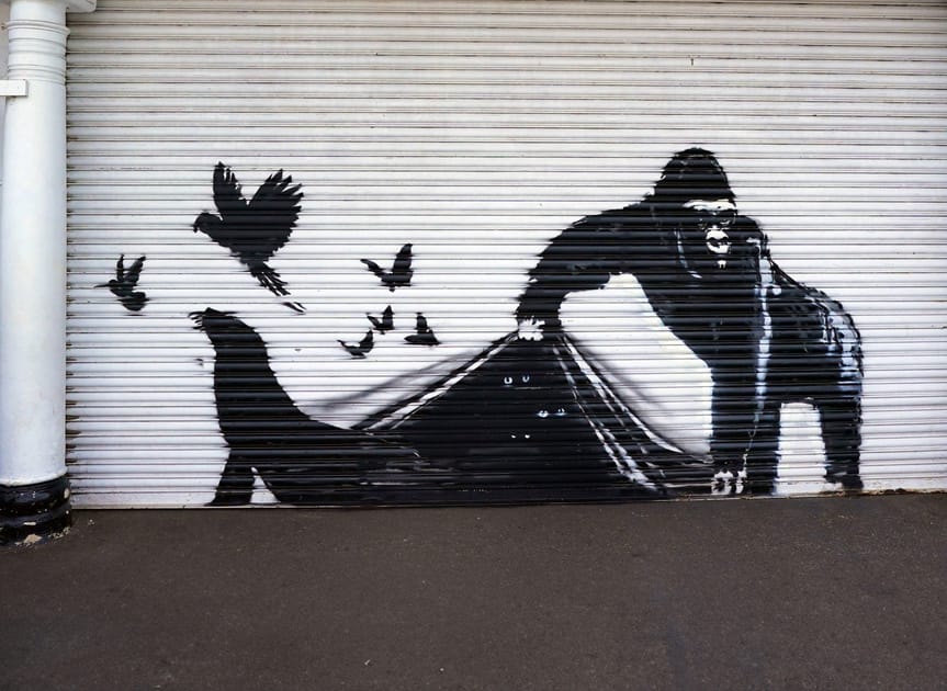 Banksy's Latest Animal Mural Appears at London Zoo | Engoo 每日新聞