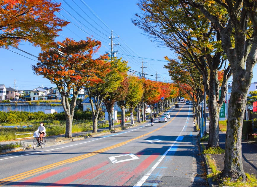 Japan Town Limits Screen Time to Two Hours | Engoo Daily News