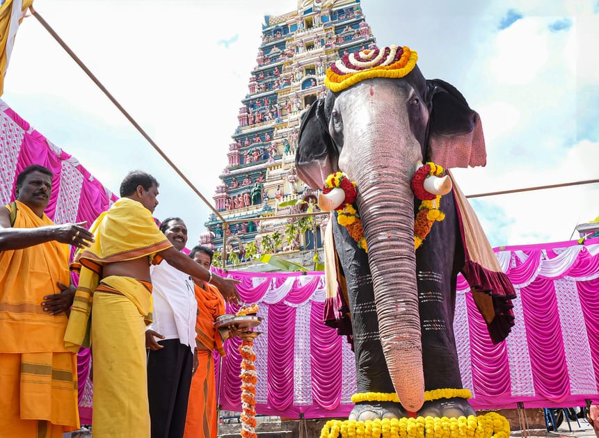 Life-Size Model Elephants Replace Real Ones in India | Engoo Daily News