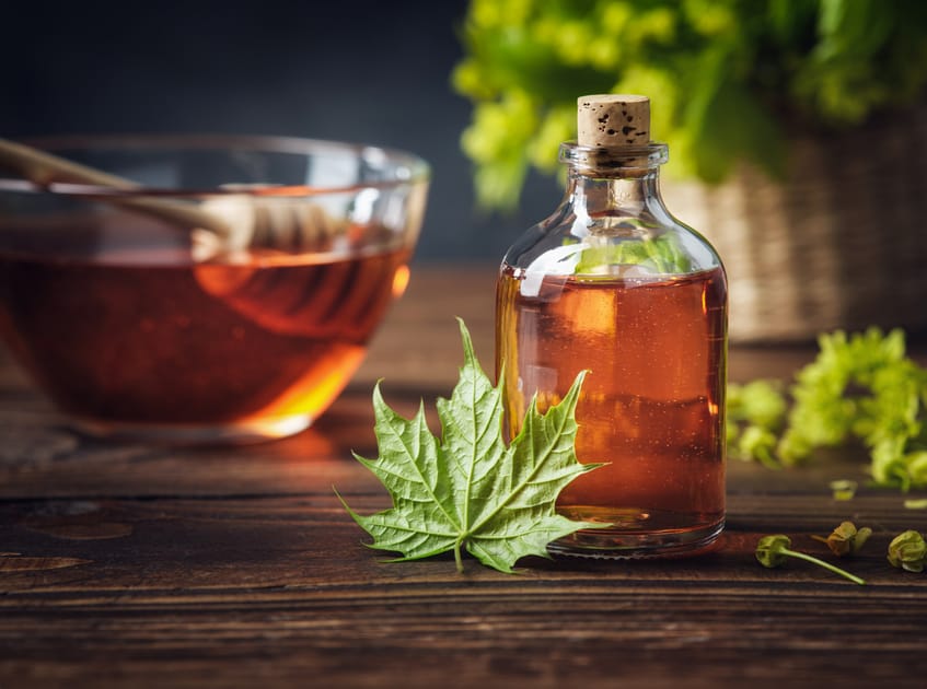 New Jersey Aims to Be Maple Syrup Capital | ข่าวประจำวัน Engoo