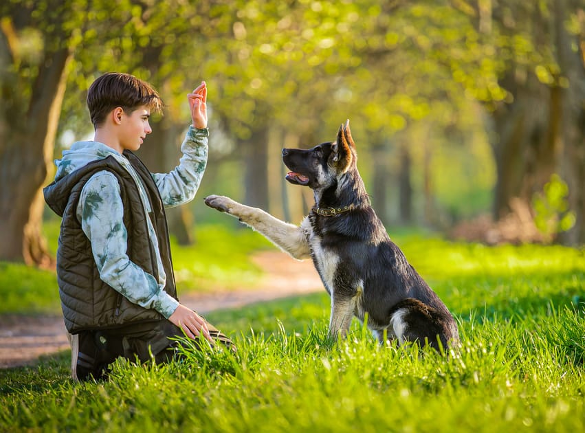 AI May Soon Help Us Talk to Animals | Engoo 데일리뉴스