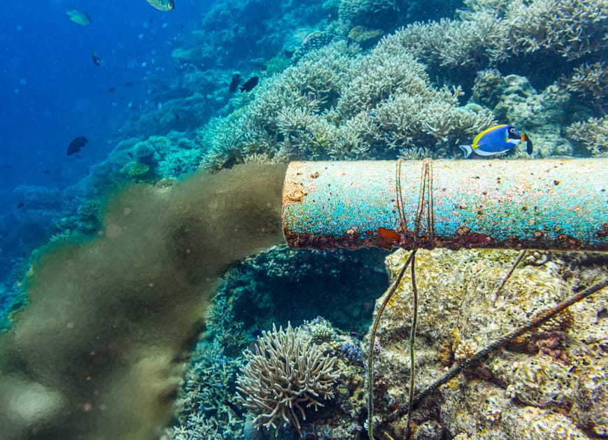 Chemical Pollution May Be as Bad as Climate Change | Engoo 每日新聞