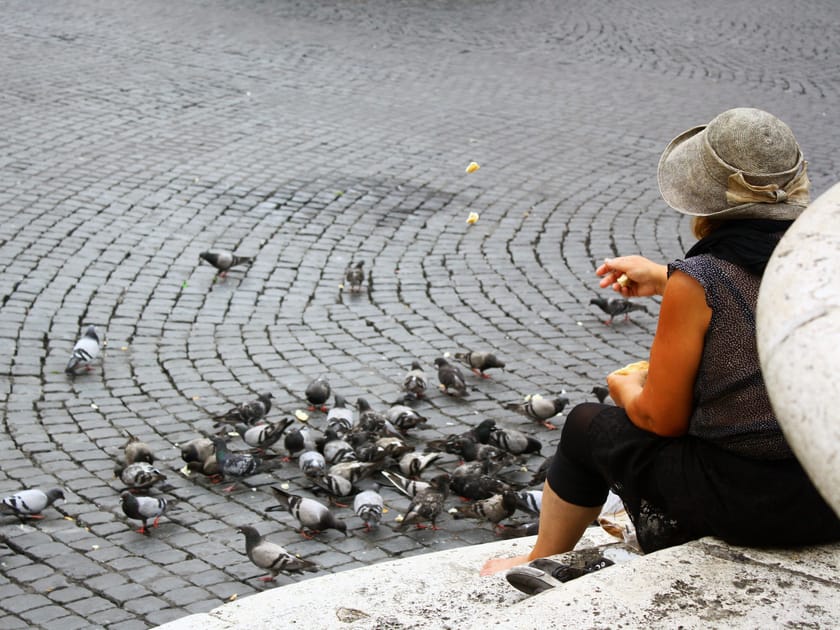 Rome 'Pigeon Lady' Ordered to Stop Feeding Birds | Engoo 每日新聞