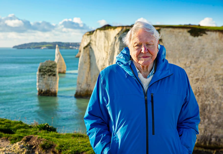 New Ocean Film Offers World a Message of Hope | Engoo 每日新聞