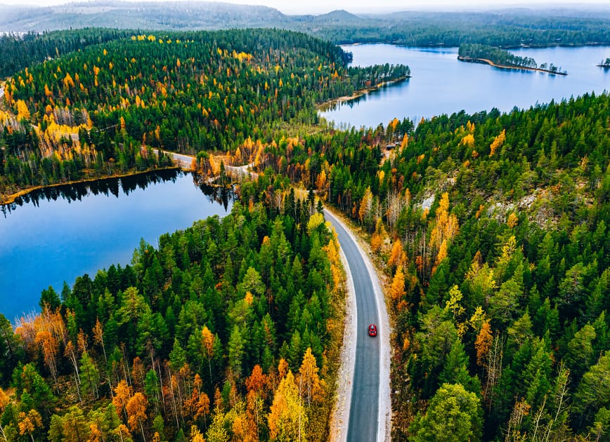 Finland Launches Treasure Hunt for Hidden Gold | Engoo Daily News
