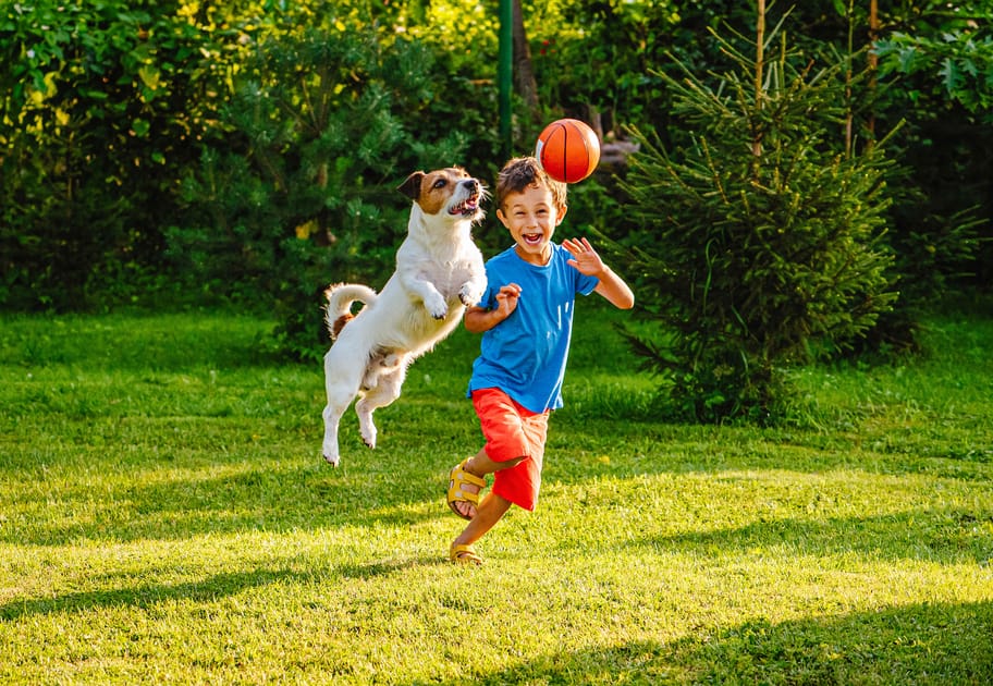 'Free-Range Parenting' — Is It Good for Kids? | Engoo 每日新聞