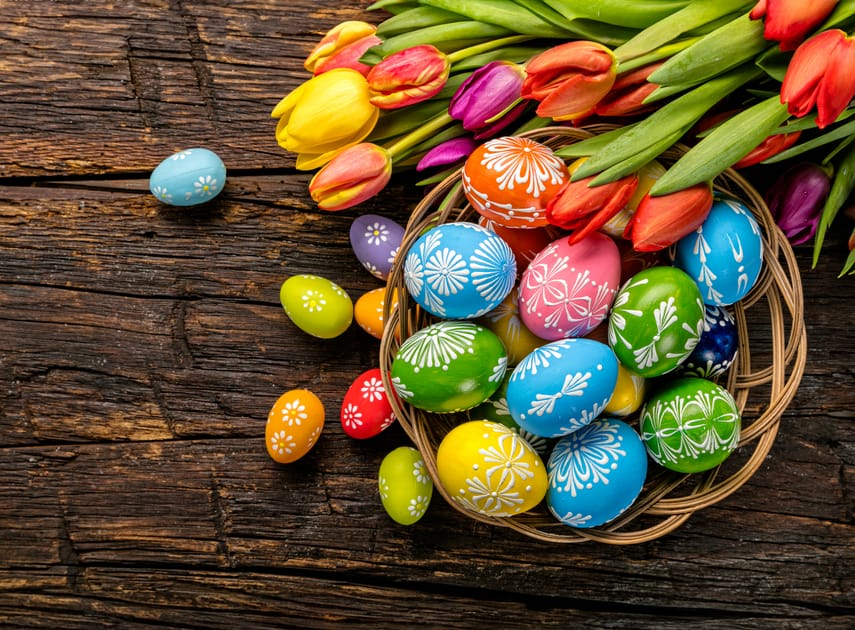 Rabbits and Eggs: Traditions of Easter and Spring | Engoo 每日新聞