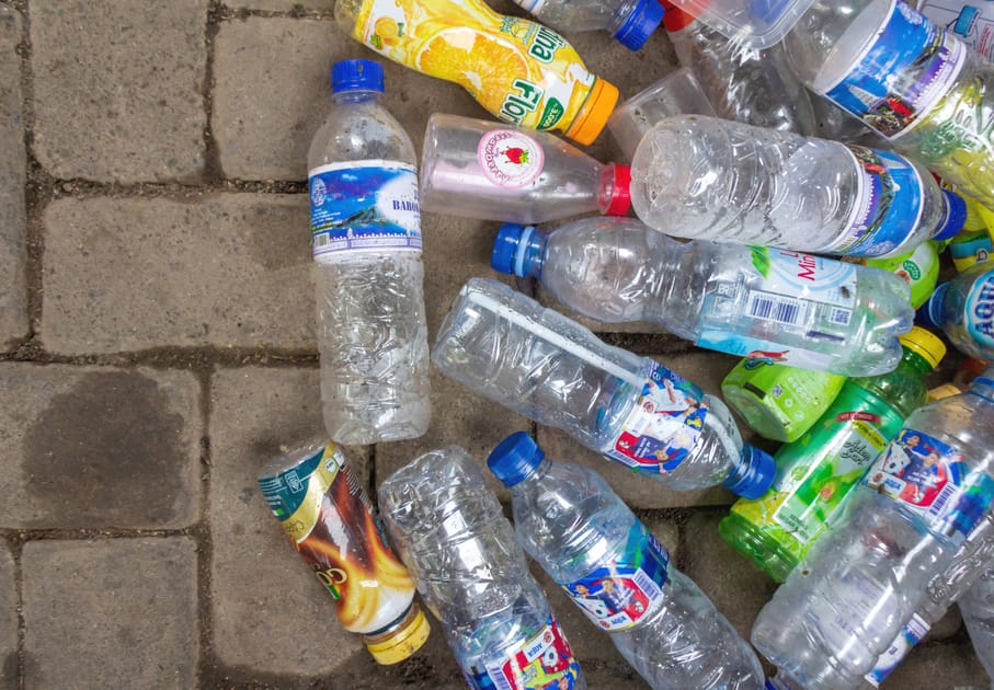Everyday Plastic Use May Contaminate Our Food | Engoo Daily News