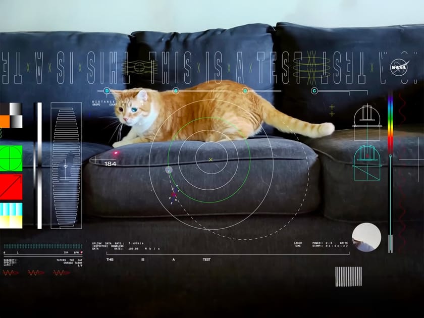 Cat Stars in First NASA Video Sent by Laser from Space | Engoo 每日新聞