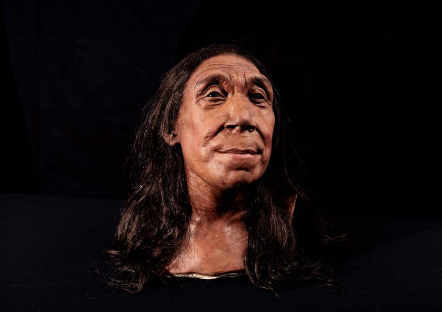 Science Or Art The Story Of A 75 000 Year Old Face Engoo Daily News science-or-art-the-story-of-a-75-000-year-old-face-engoo-daily-news