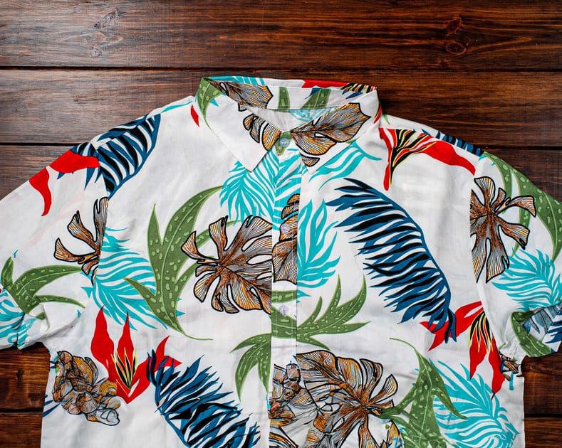 From Japan to Hawaii: The History of Aloha Shirts | Engoo 每日新聞