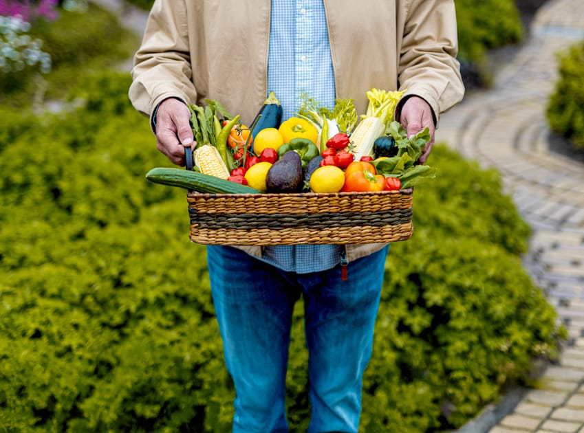 Experts Say All Fruits and Vegetables Are 'Superfoods' | Engoo Daily News